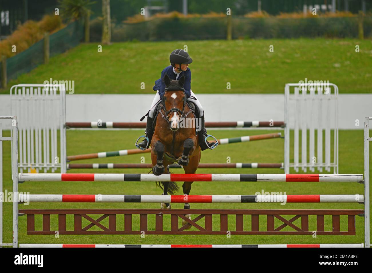 CHRISTCHURCH, NEW ZEALAND, DECEMBER 9, 2022: A show jumping competitor ...