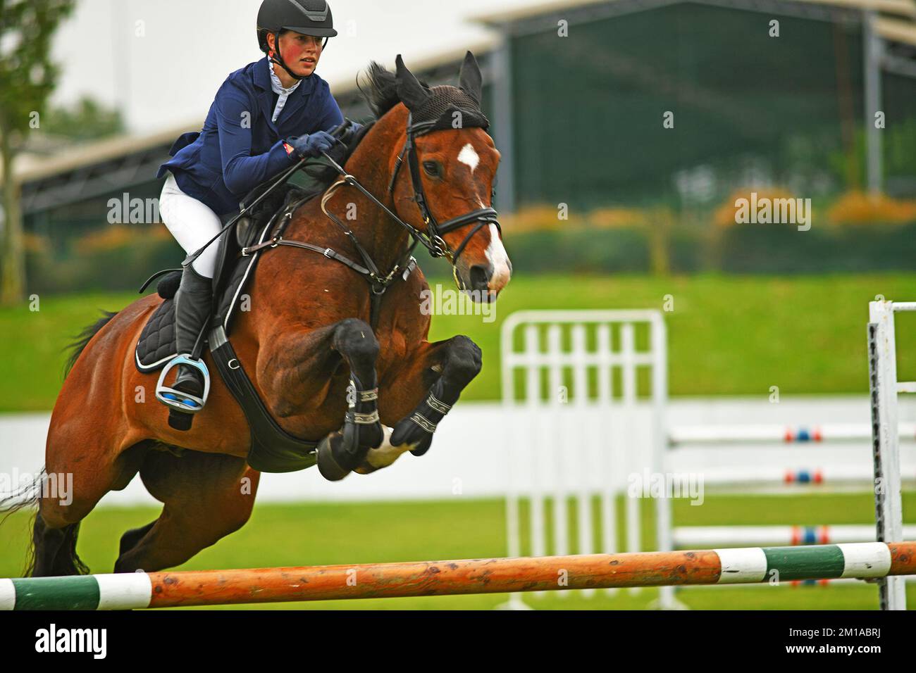 CHRISTCHURCH, NEW ZEALAND, DECEMBER 9, 2022: A show jumping competitor ...