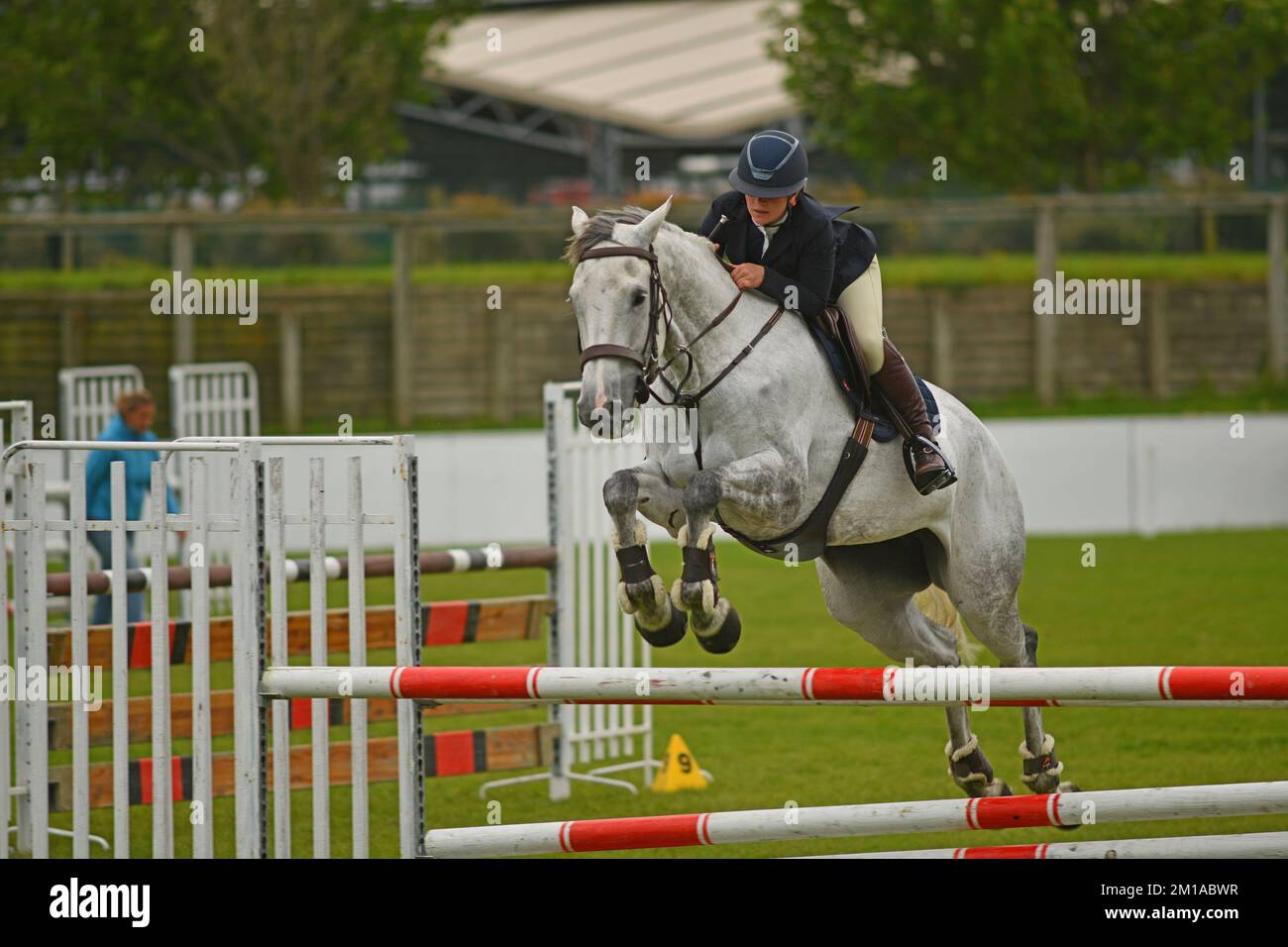 CHRISTCHURCH, NEW ZEALAND, DECEMBER 9, 2022: A show jumping competitor ...