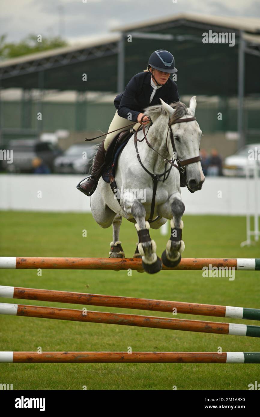 CHRISTCHURCH, NEW ZEALAND, DECEMBER 9, 2022: A show jumping competitor ...