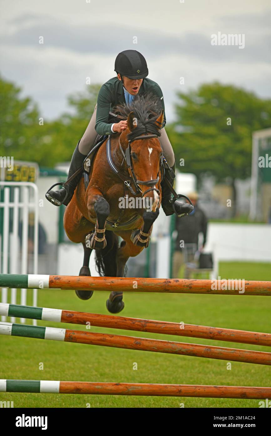 CHRISTCHURCH, NEW ZEALAND, DECEMBER 9, 2022: A show jumping competitor ...