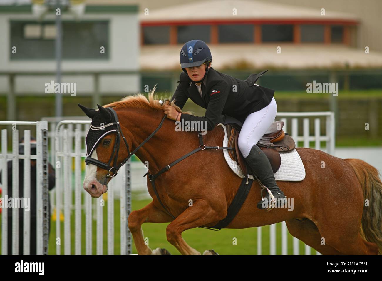 CHRISTCHURCH, NEW ZEALAND, DECEMBER 9, 2022: A show jumping competitor ...