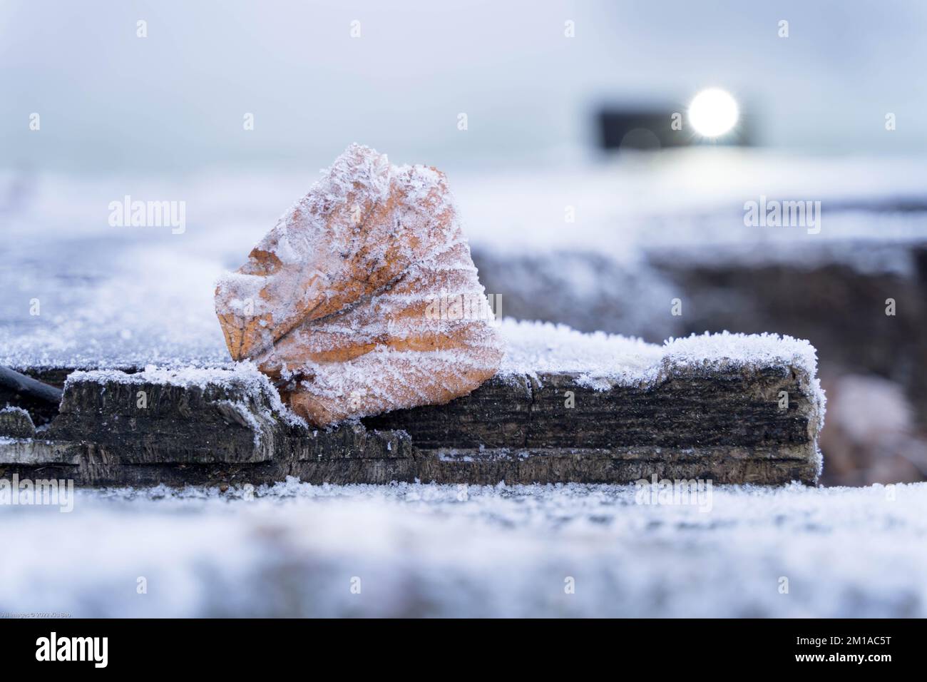 London UK 10 December 2022 . UK weather. London park is covered in hard ...