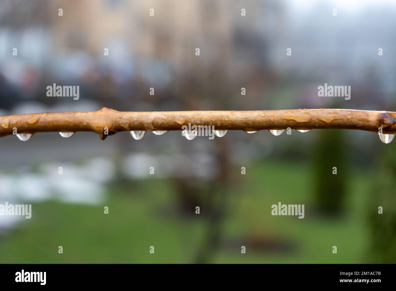 Pouring rain puddle cloudy hi-res stock photography and images - Alamy