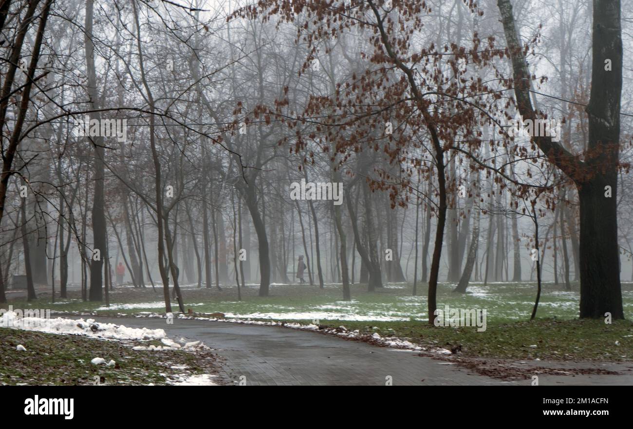 Misty morning in the park. Foggy rainy weather in winter city Stock ...