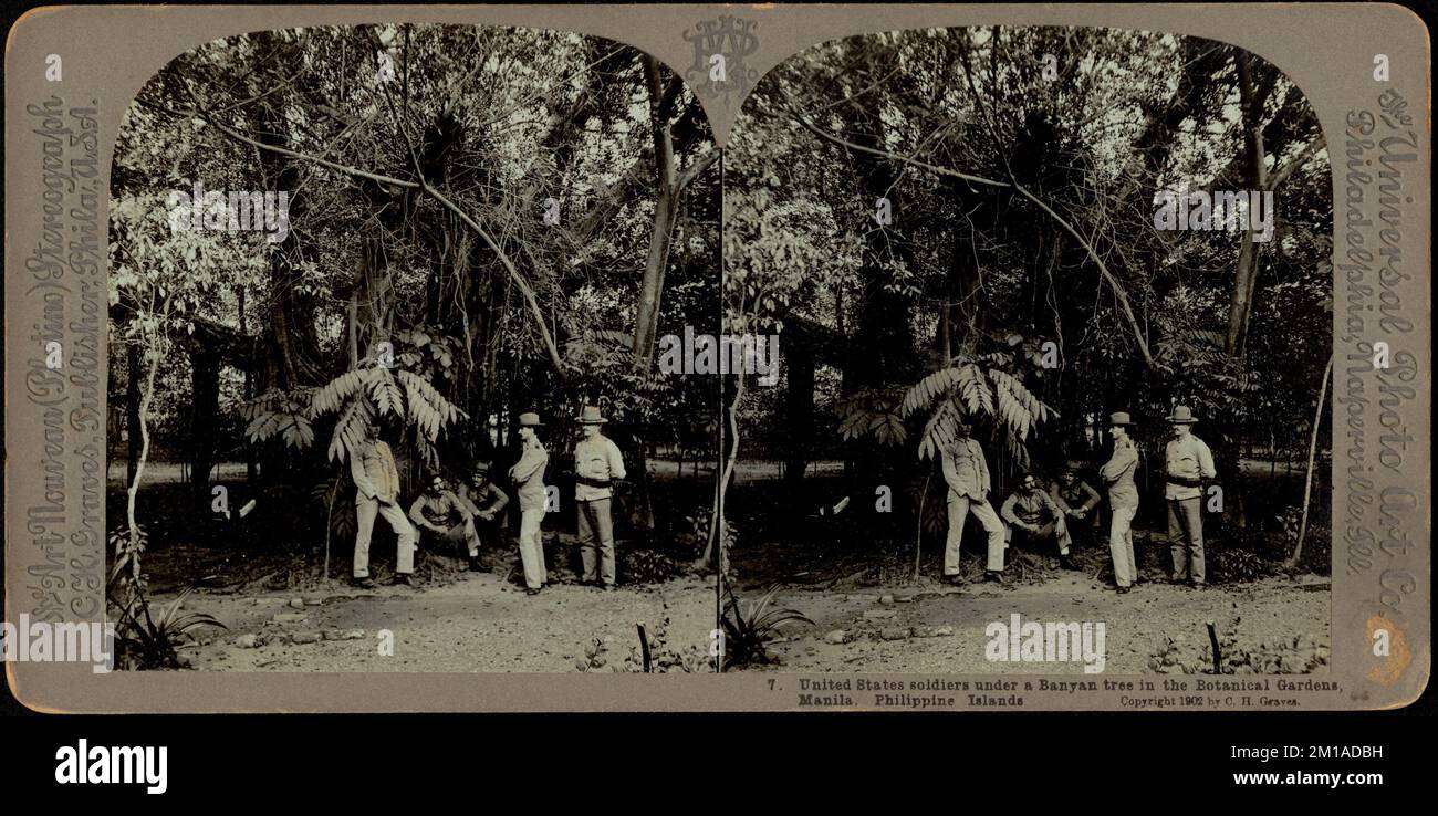 United States soldiers under a banyan tree in the botanical gardens ...