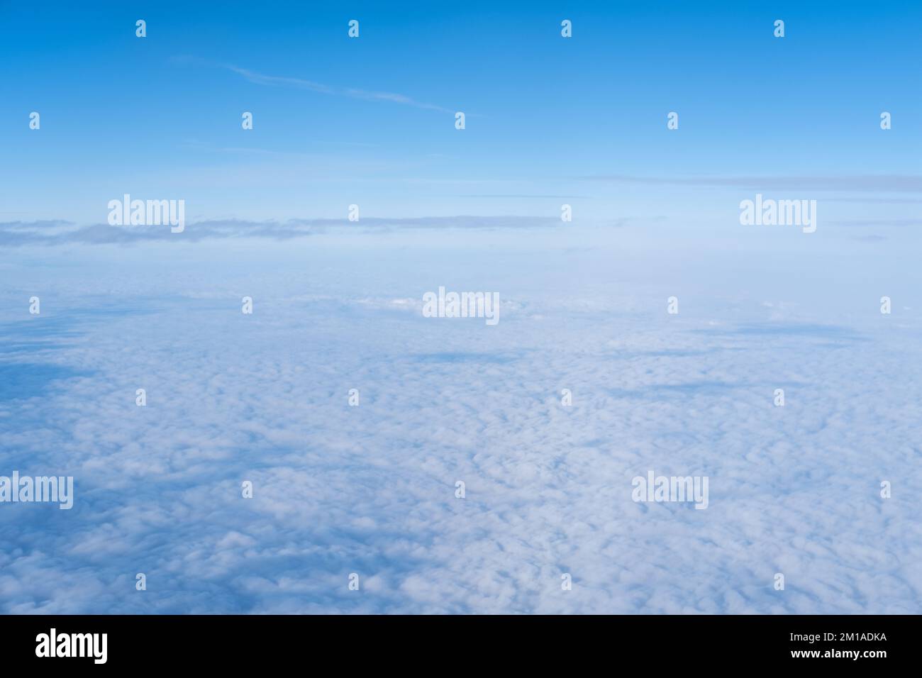 Background of a pink blue heavenly sky with fluffy dense clouds, top ...