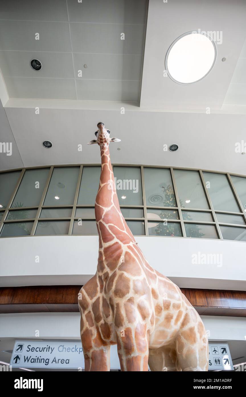 Baton Rouge, Louisiana, USA - 11.2022 - Giraffe sculpture inside the ...