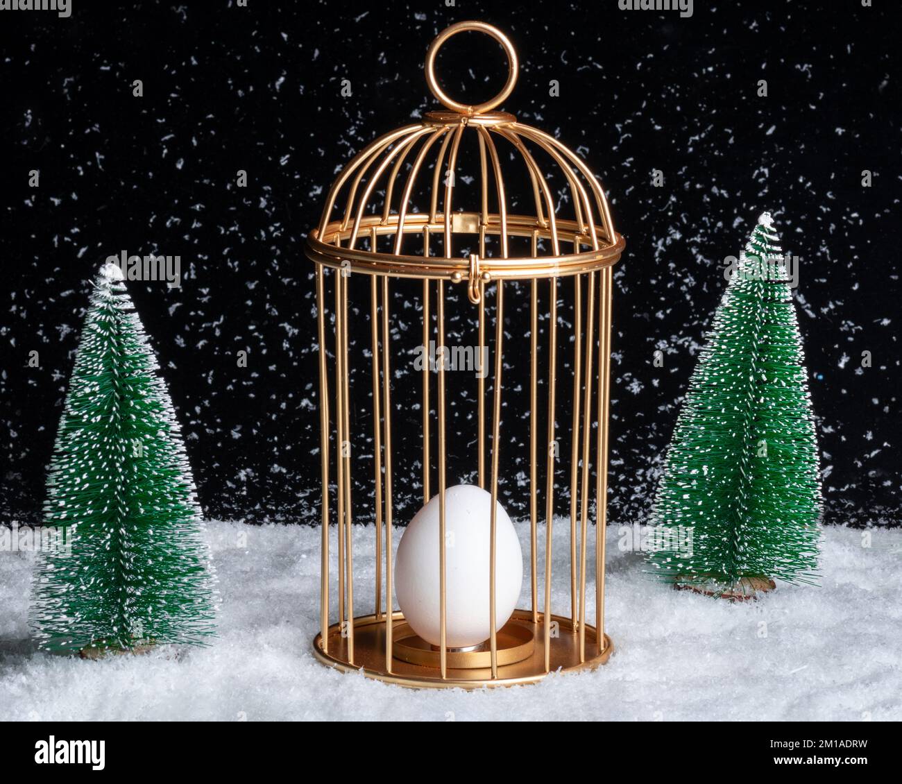 A closed cage with an egg inside in a snowy forest at night. The ...