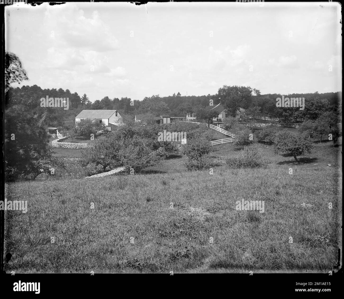 Unknown farm scene, views , Farms. Frank Cousins Glass Plate Negatives ...