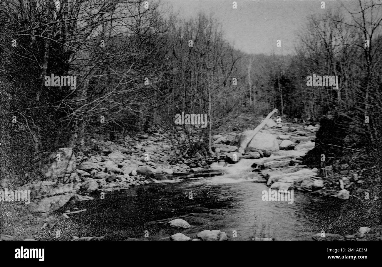 Habitat streams Black and White Stock Photos & Images - Alamy