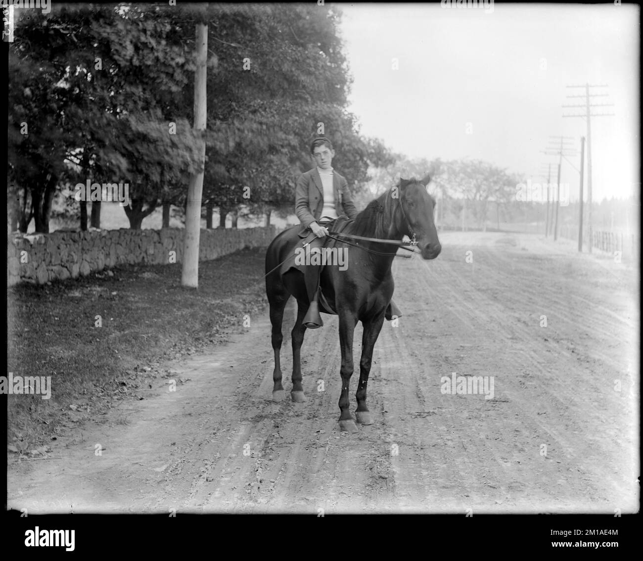 Unknown, rider on horse by roadside , Horses. Frank Cousins Glass Plate ...