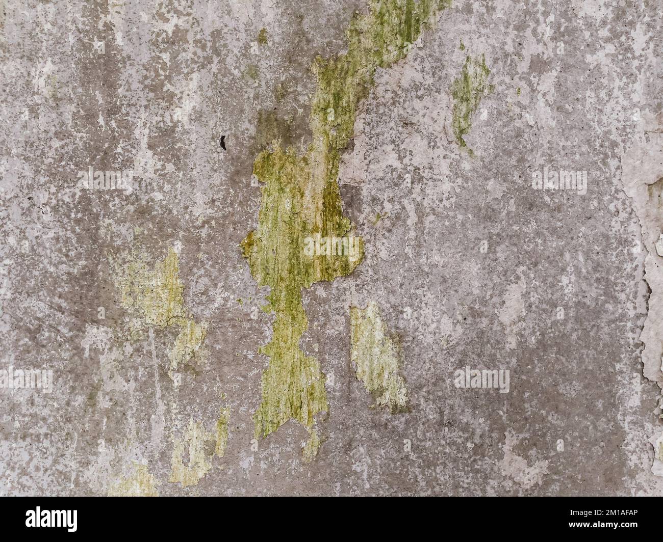 A mold wall texture background Stock Photo - Alamy