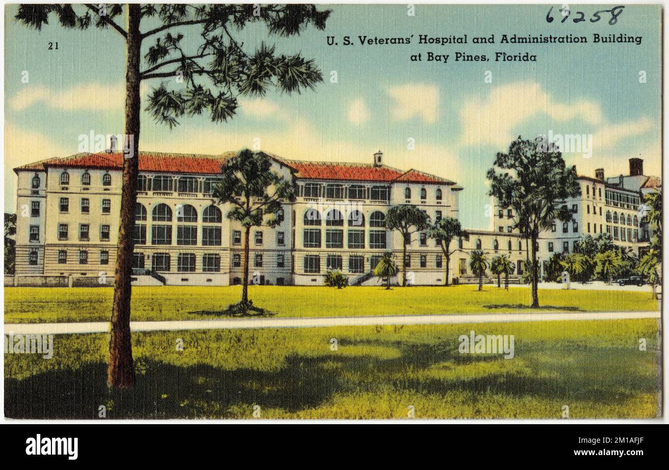 Bay pines florida hi-res stock photography and images - Alamy