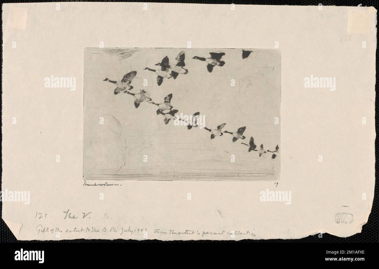 Artistic animal drawings hi-res stock photography and images - Alamy