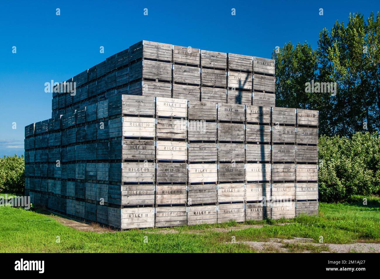 Field boxes stack hi-res stock photography and images - Alamy
