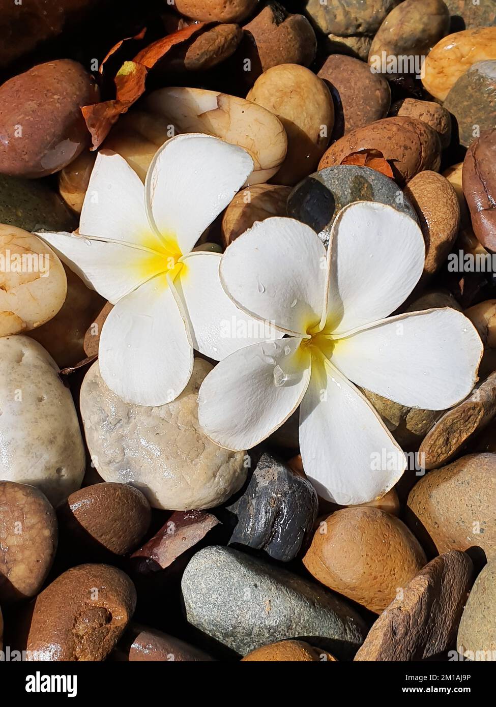 Vertical shot rocks put hi-res stock photography and images - Alamy