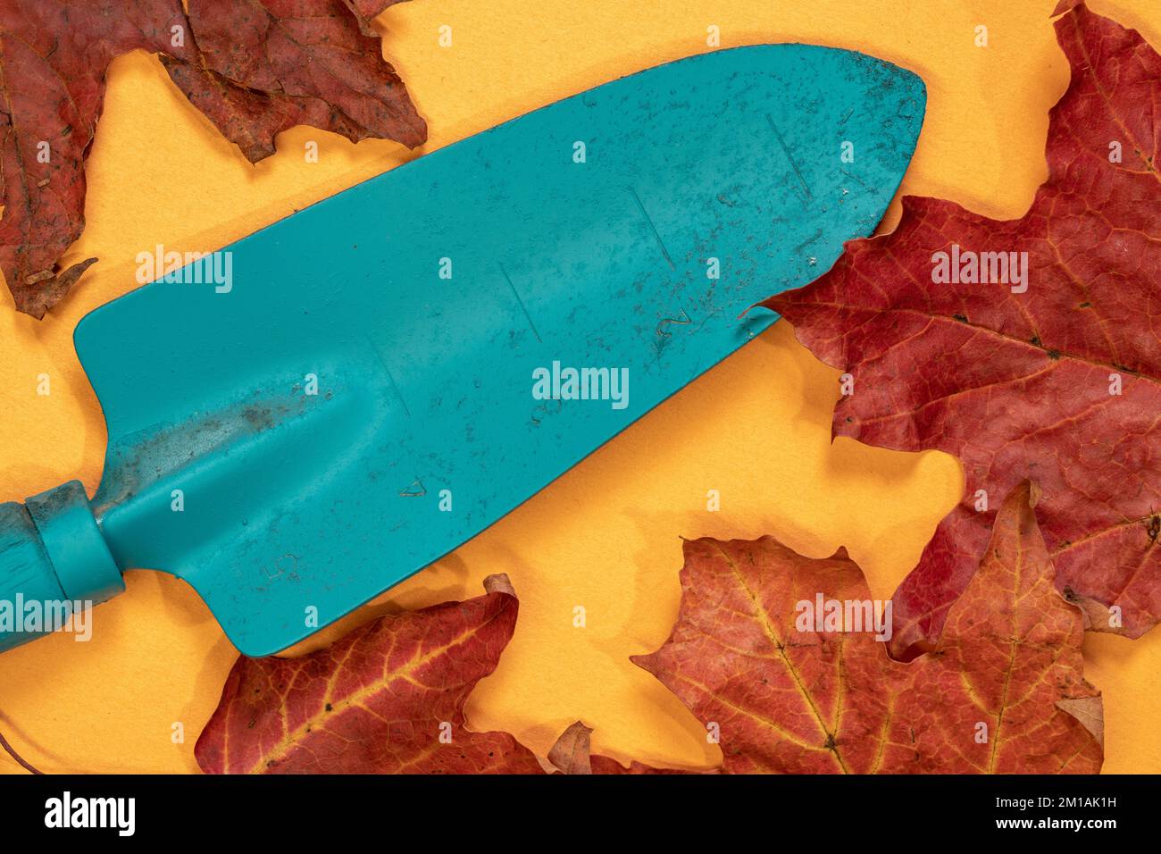 Garden Trowel and leaves suggest autumn clean up chores Stock Photo - Alamy