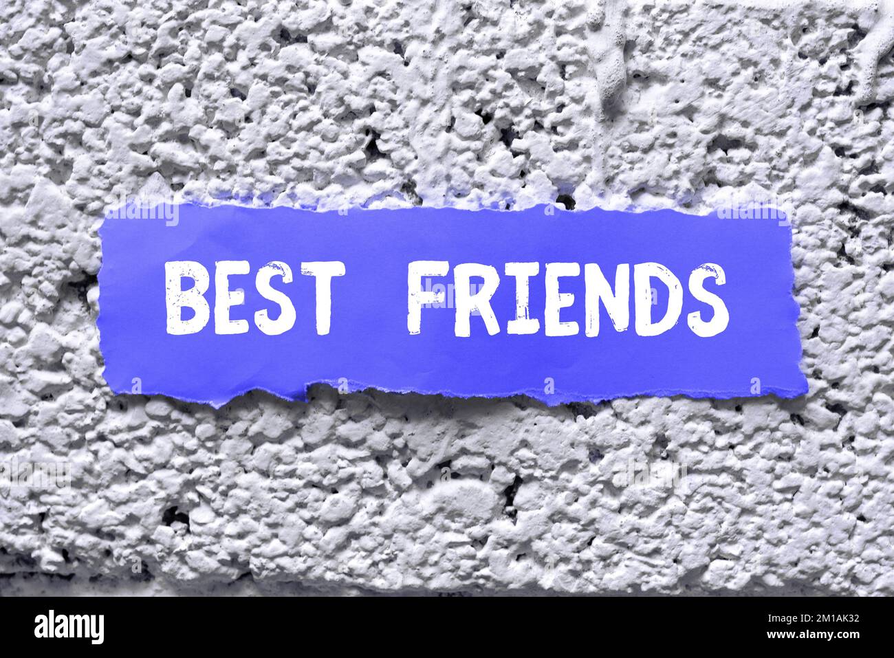 Sign displaying Best Friends. Business showcase A person you value ...