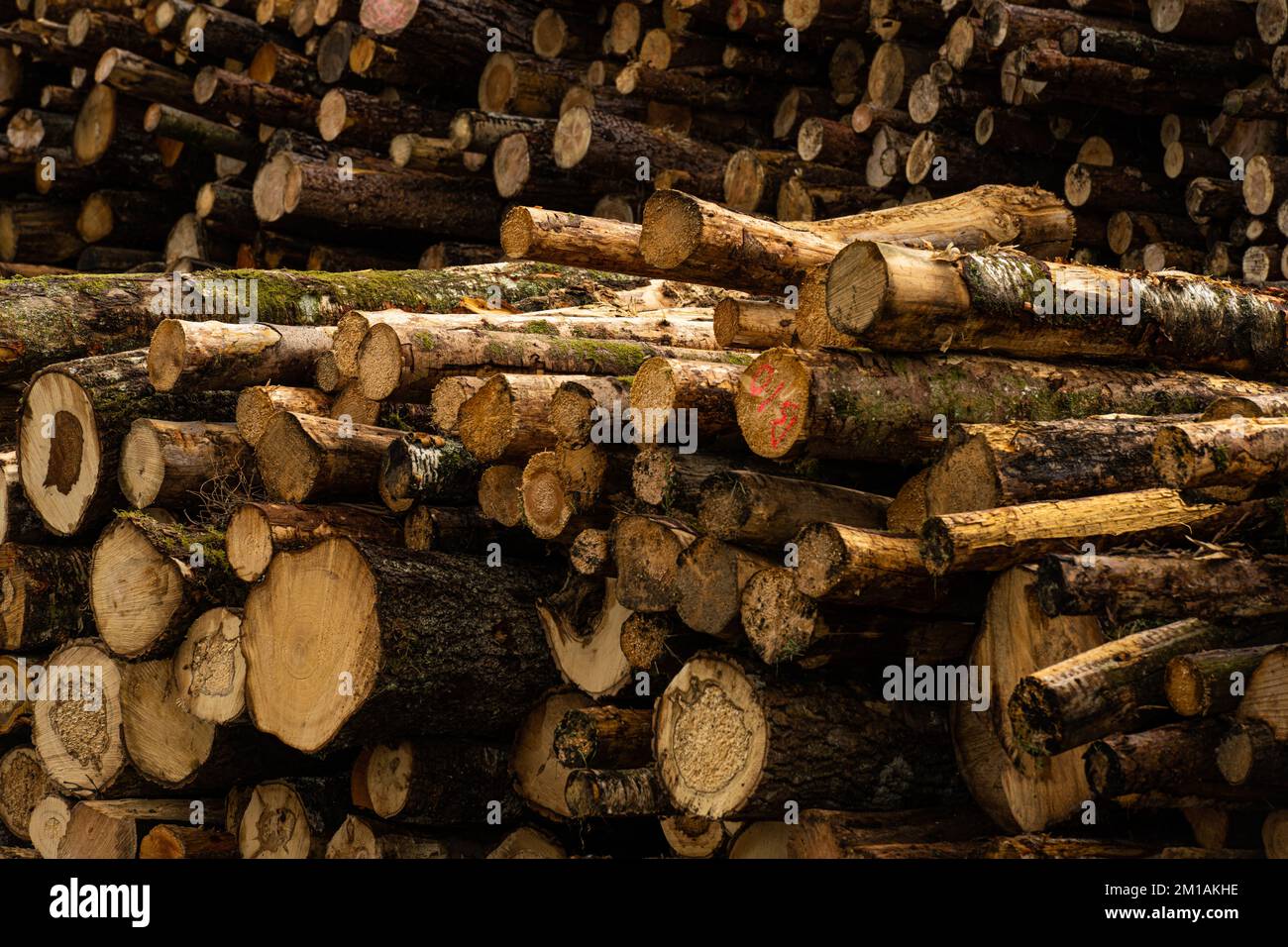 Wooden loading stick hi-res stock photography and images - Alamy