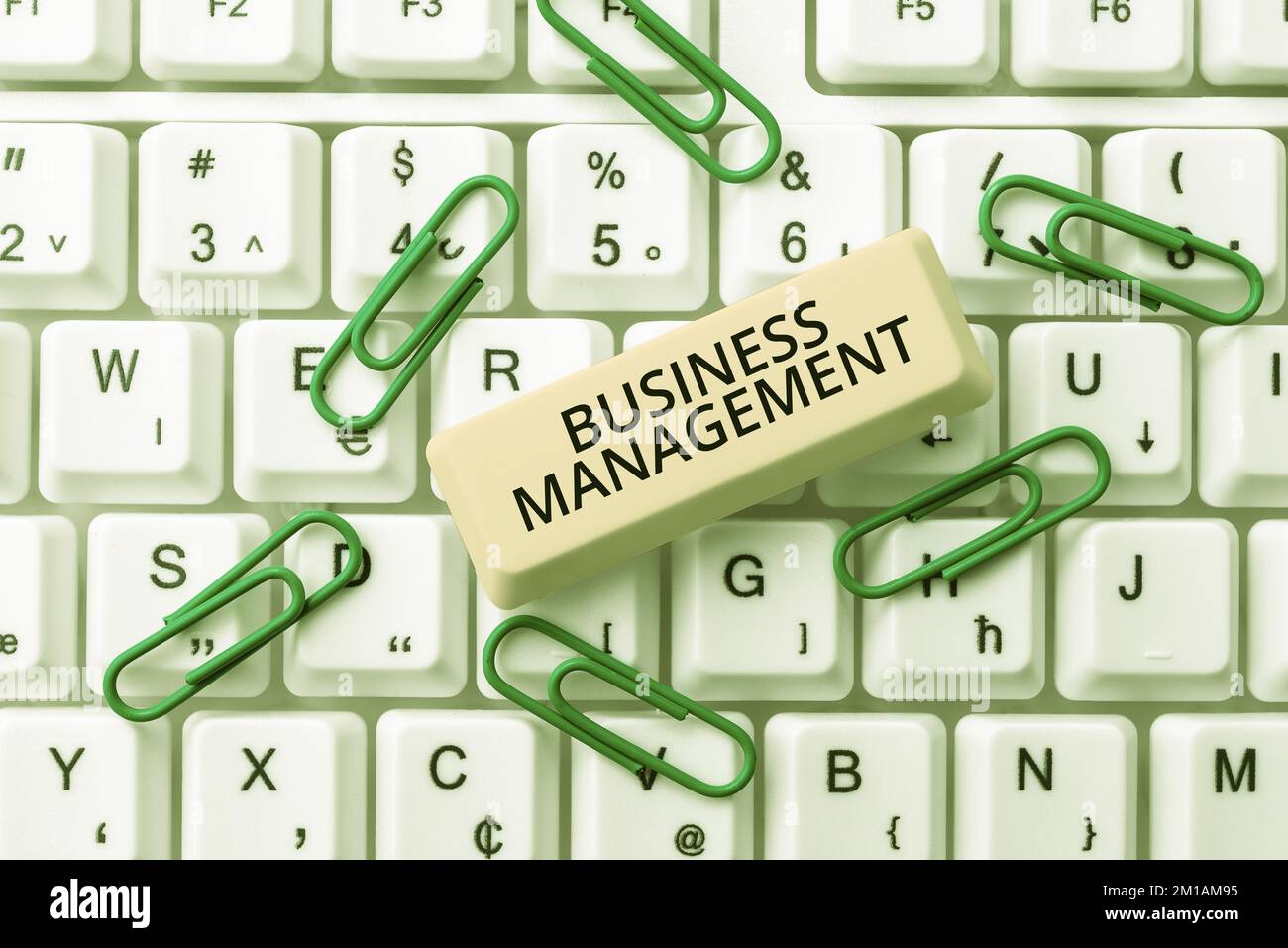 Conceptual display Business Management. Business approach Overseeing ...