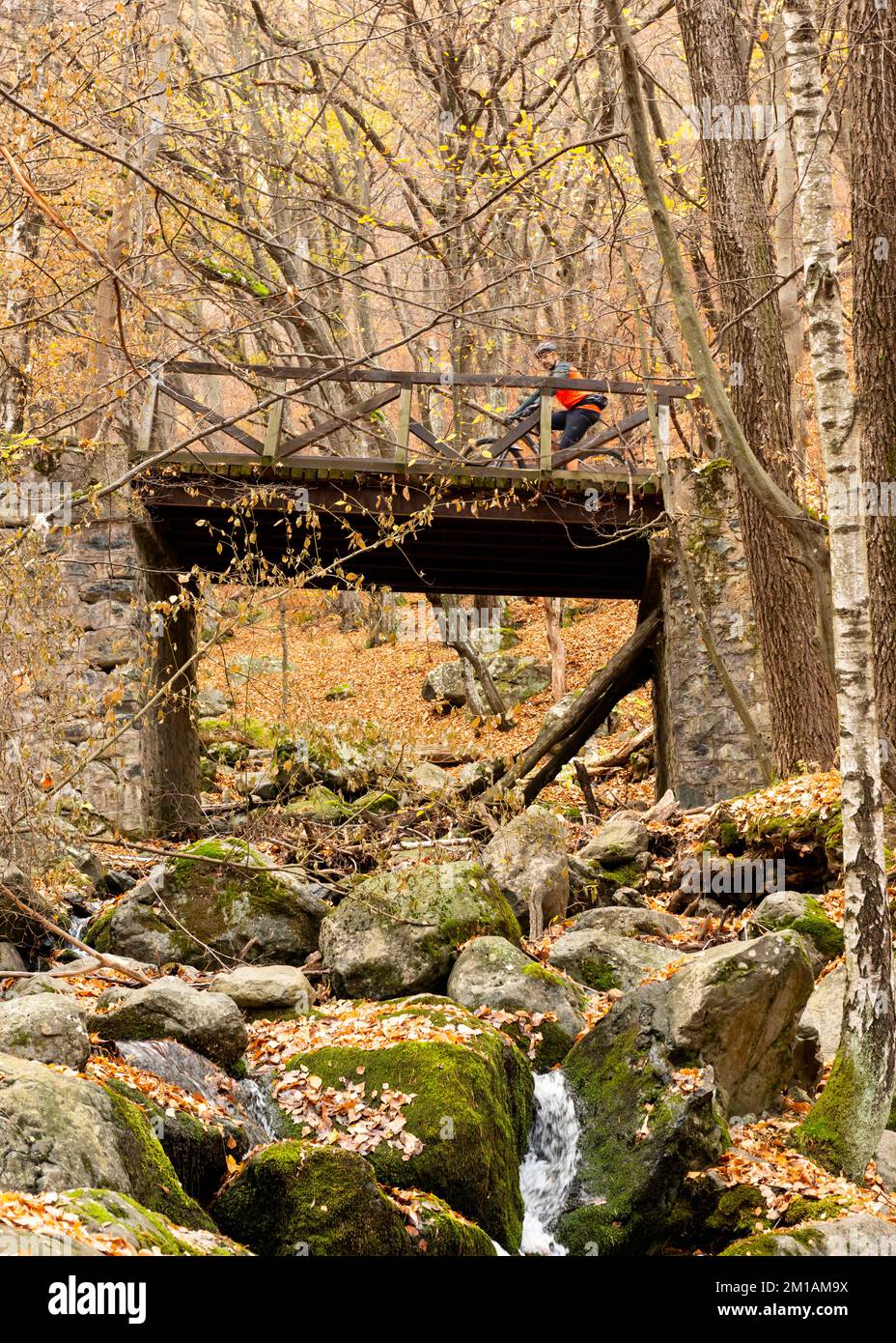 Biker in Vitosha Mountain, Sofia, Bulgaria Stock Photo - Alamy