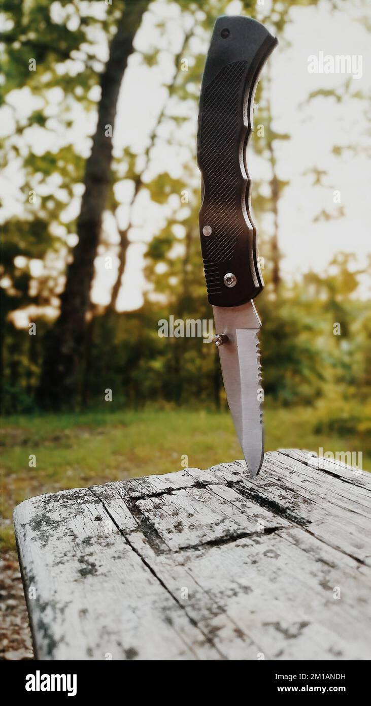 A sharp clasp knife stuck on the wooden surface in the garden Stock ...