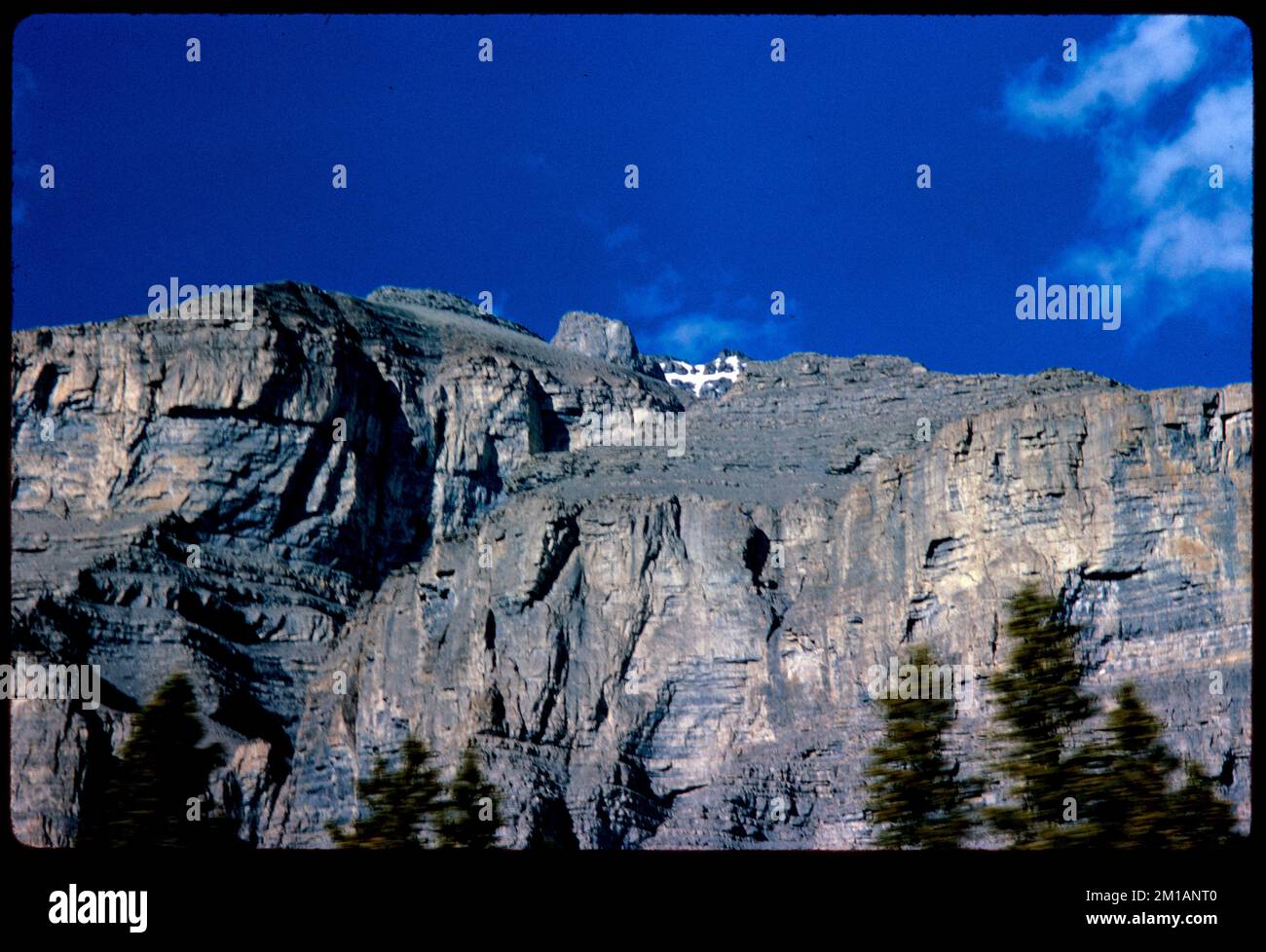 Face british hi-res stock photography and images - Alamy