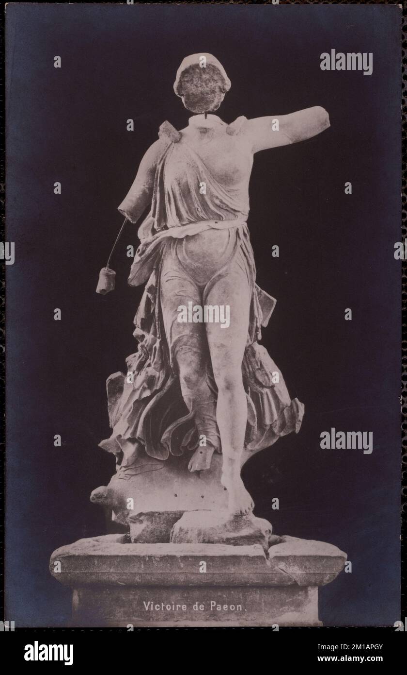 Paeon hi-res stock photography and images - Alamy