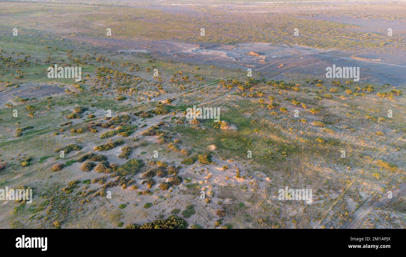 An aerial view of a sandy landscape with plants Stock Photo - Alamy