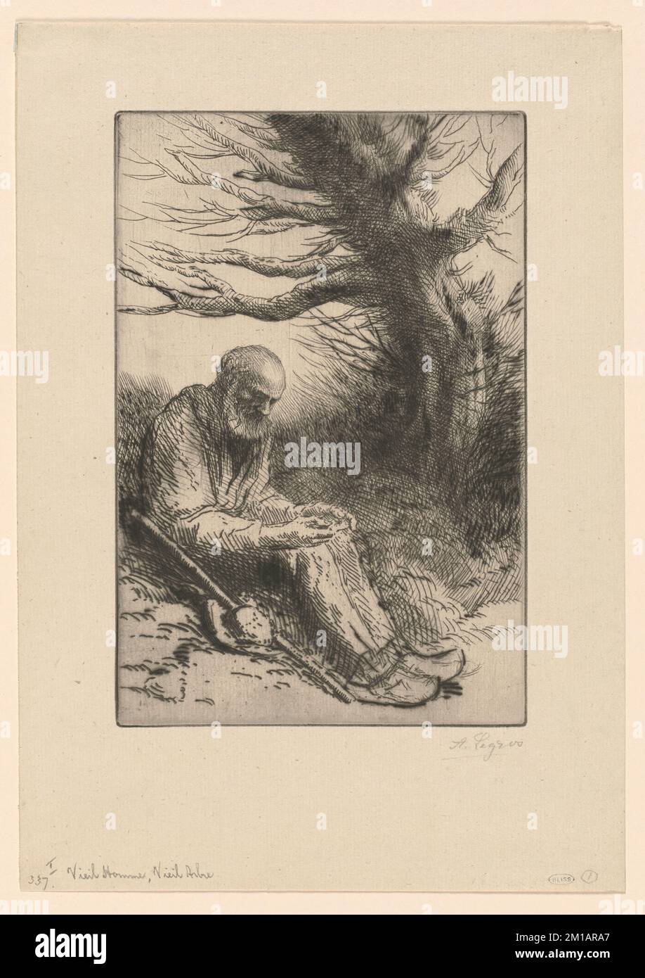 Vieil homme, vieil arbre , Older people, Trees, Alphonse Legros (1837 ...