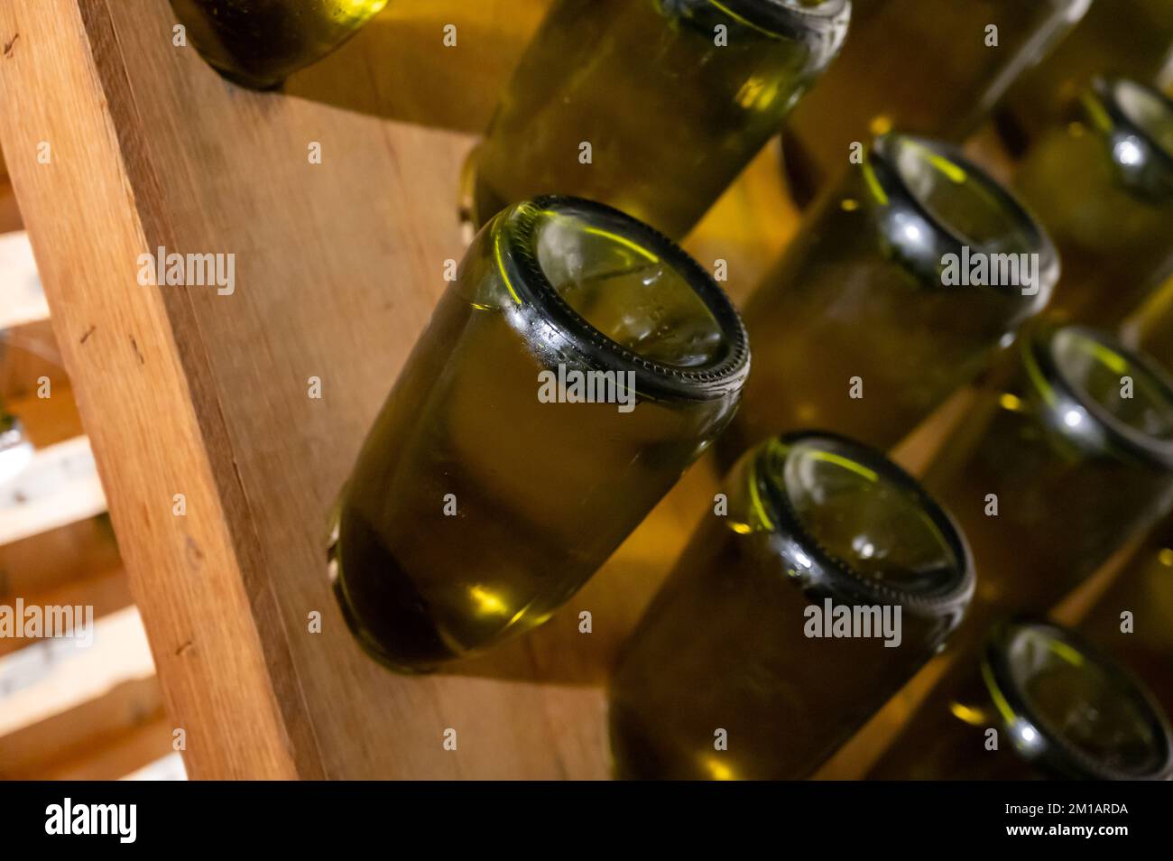 Walking in deep long undergrounds caves with dusty bottles on racks ...
