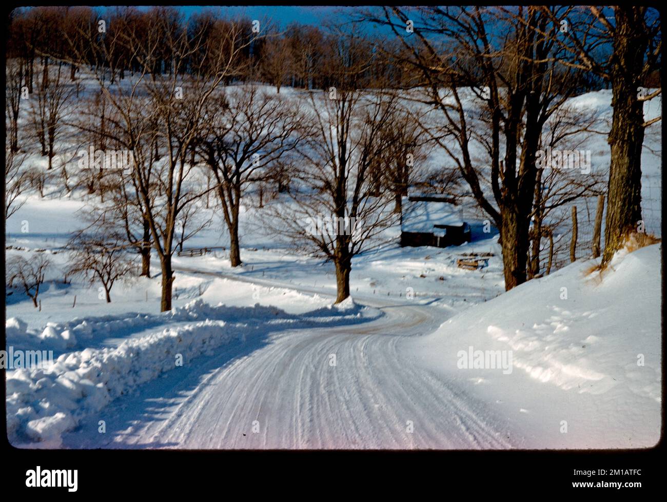 View down tree lined and snow-covered street , Streets, Snow, Trees ...