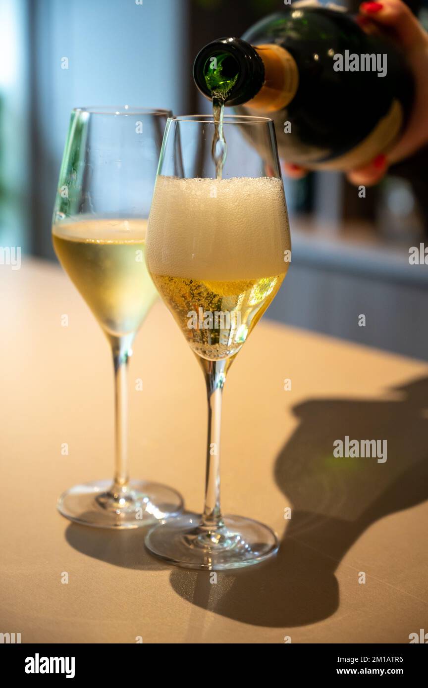 Tasting of brut and reserve grand cru champagne sparkling wine produced by traditional method in ...