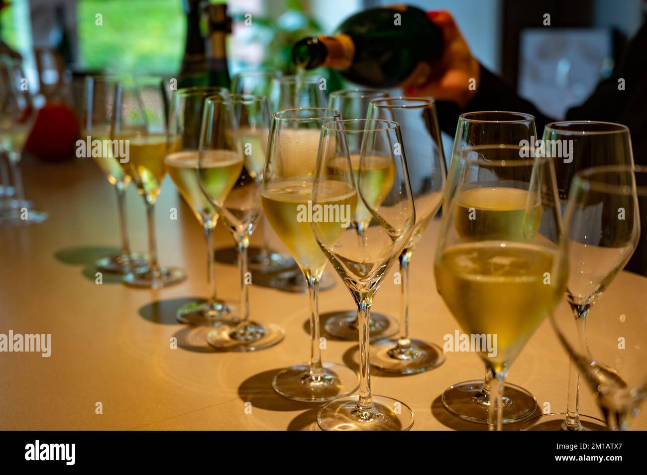 Tasting of brut and reserve grand cru champagne sparkling wine produced by traditional method in ...