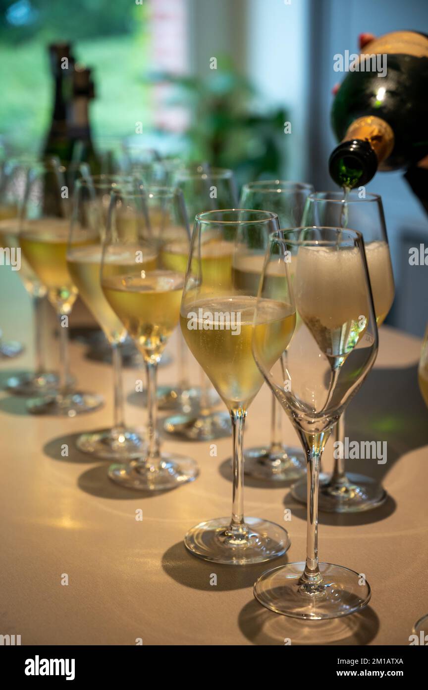 Tasting of brut and reserve grand cru champagne sparkling wine produced by traditional method in ...