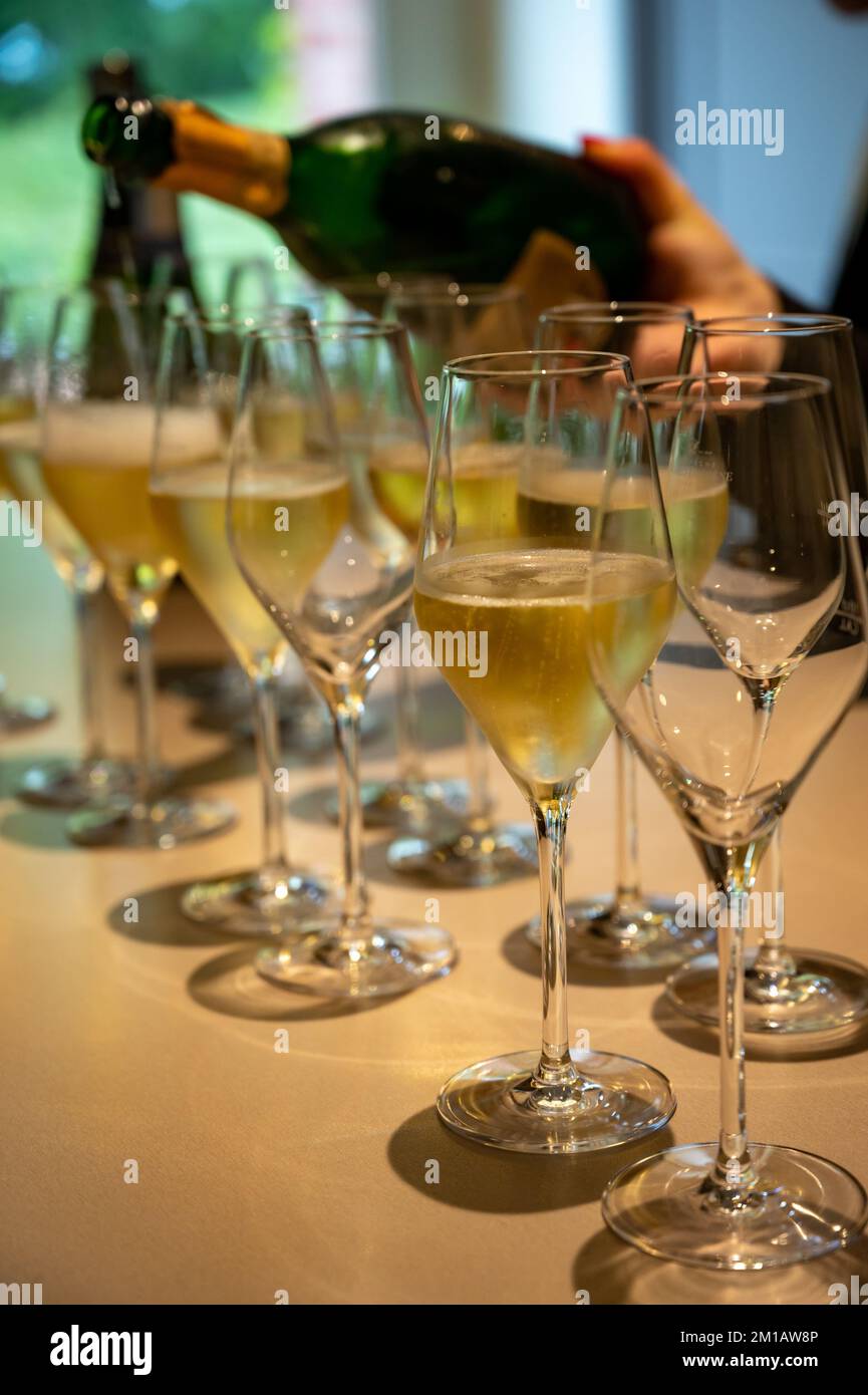 Tasting of brut and reserve grand cru champagne sparkling wine produced by traditional method in ...