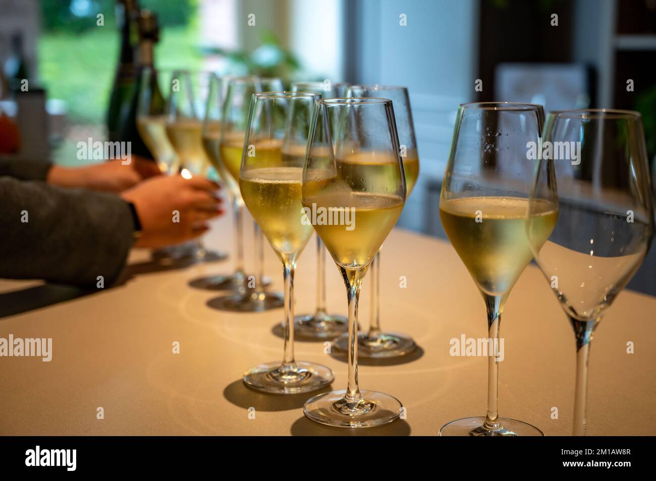 Tasting of brut and reserve grand cru champagne sparkling wine produced by traditional method in ...