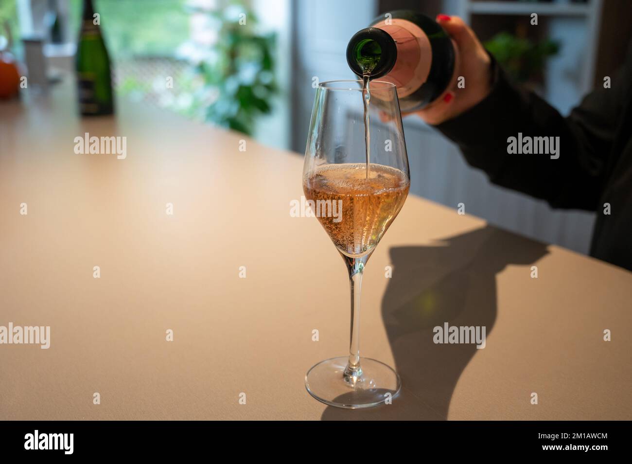 Tasting of rose champagne sparkling wine produced by traditional method in underground caves in ...