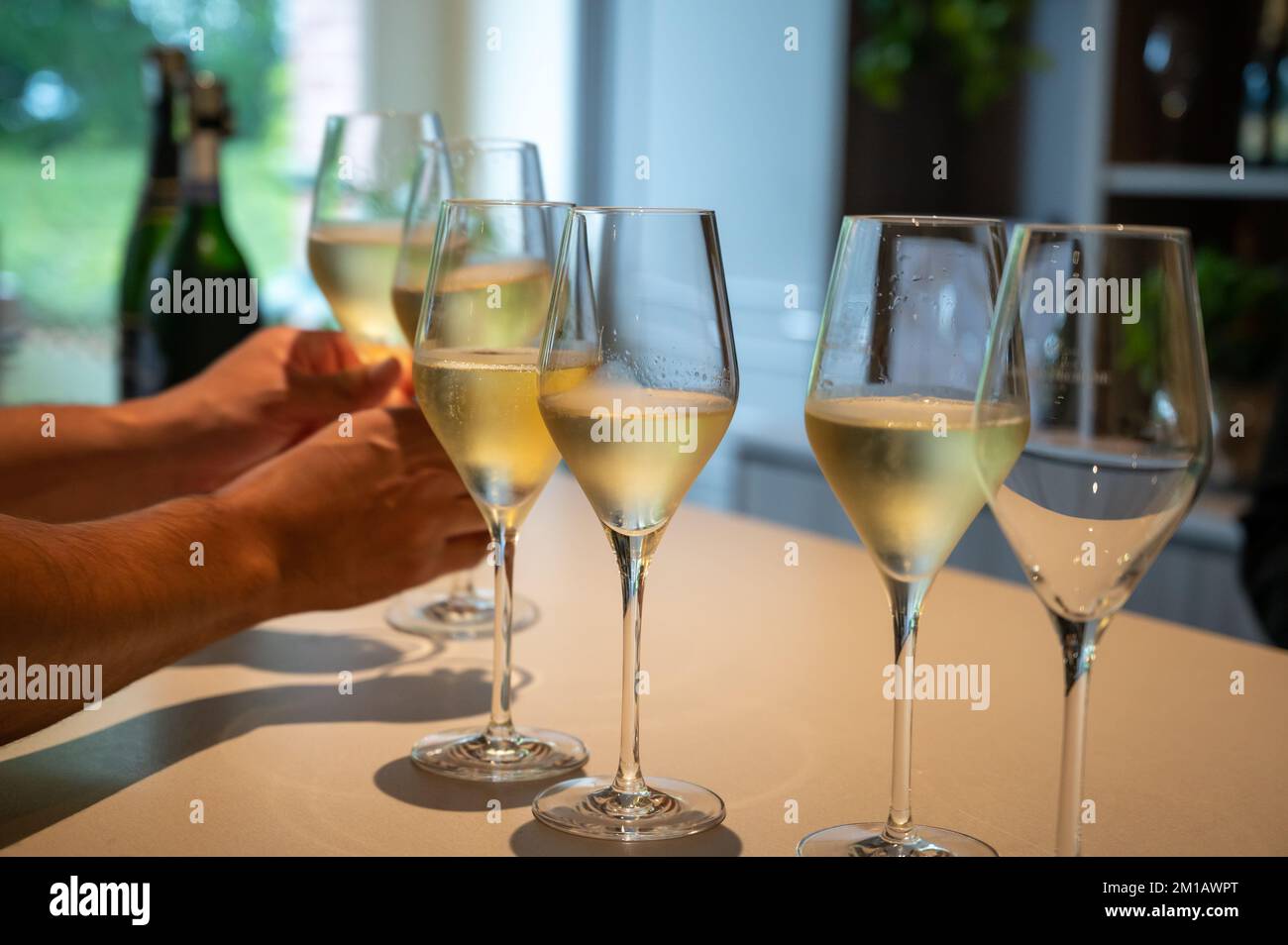 Tasting of brut and reserve grand cru champagne sparkling wine produced by traditional method in ...