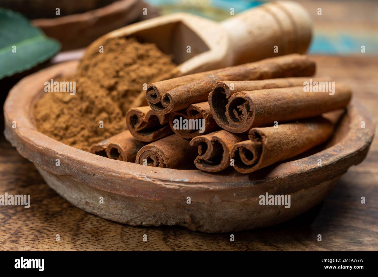 Indian spices collection, dried aromatic cinnamon barks and another ...