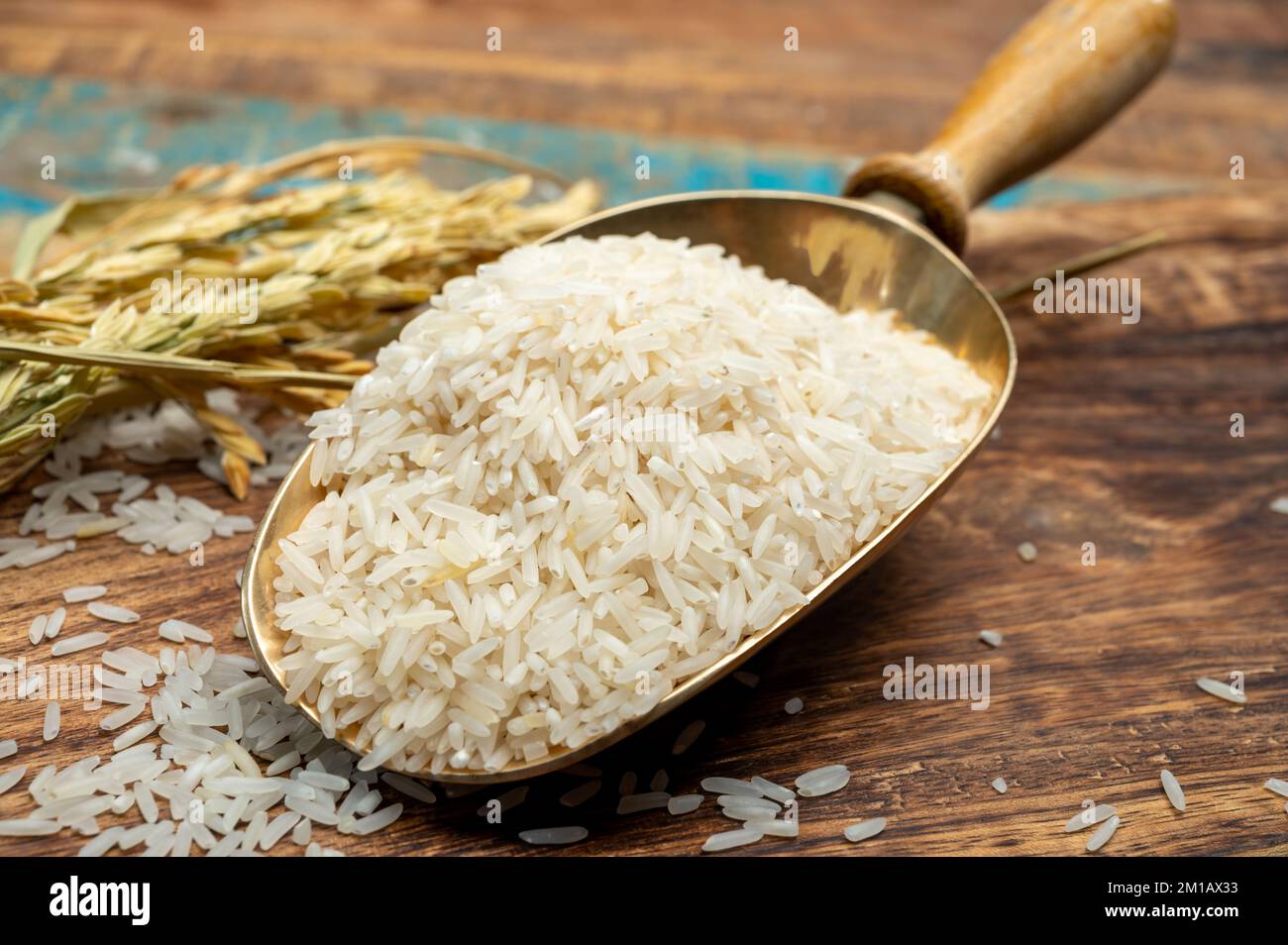 Organic white uncooked rice and dried Indian basmati rice plant ...