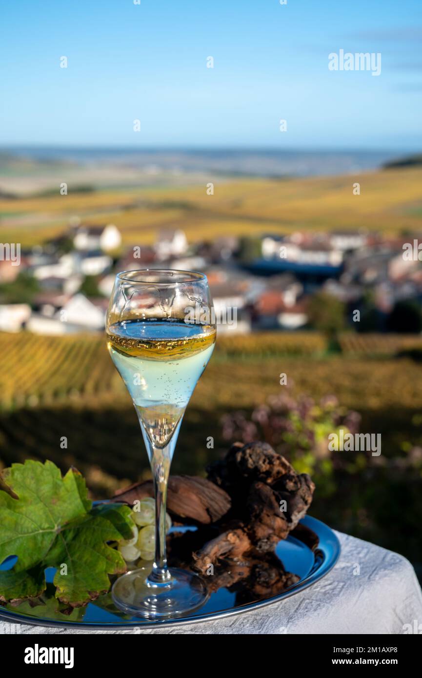 Tasting of french sparkling white wine with bubbles champagne on ...