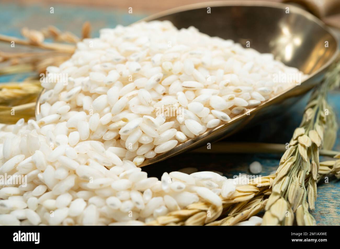 White italian arborio rice used for making risotto dish close up Stock ...
