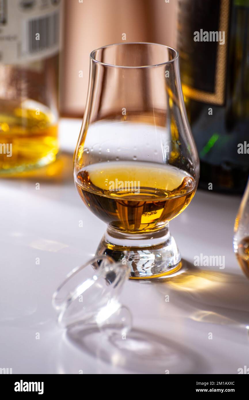 Tasting of whiskey, tulip-shaped tasting glasses with dram of Scotch ...