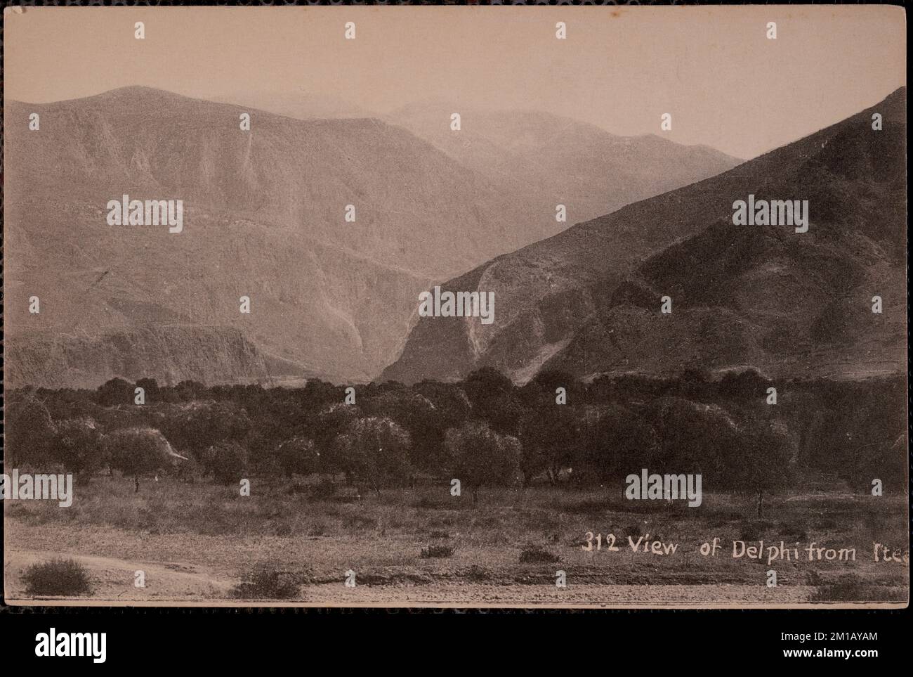 View of Delphi from Itea , Hills, Trees. Nicholas Catsimpoolas ...