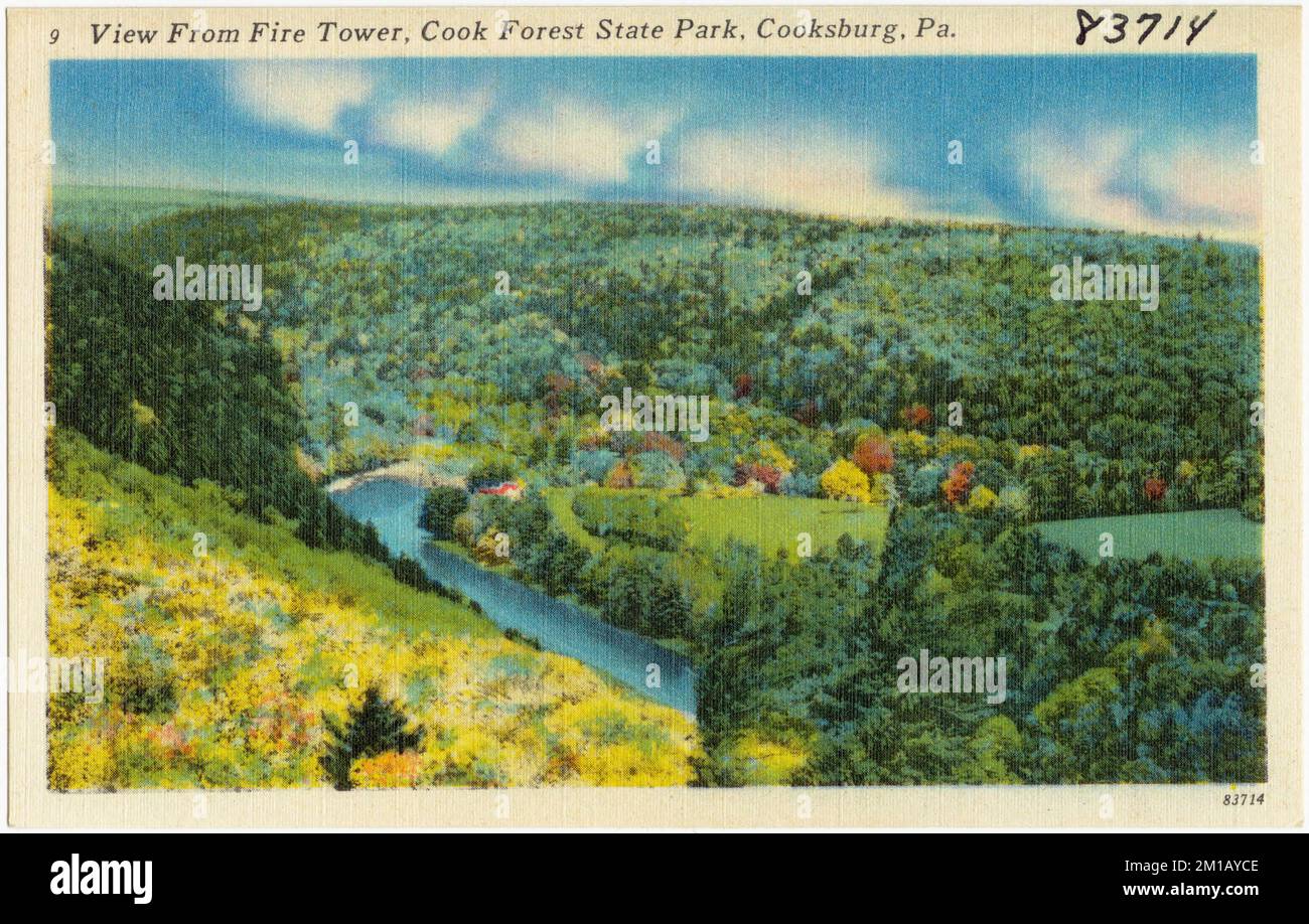 Cook forest state park cooksburg hi-res stock photography and images ...