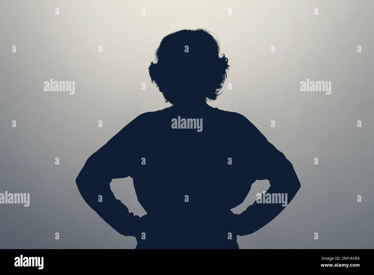 Female face silhouette hidden hi-res stock photography and images - Alamy
