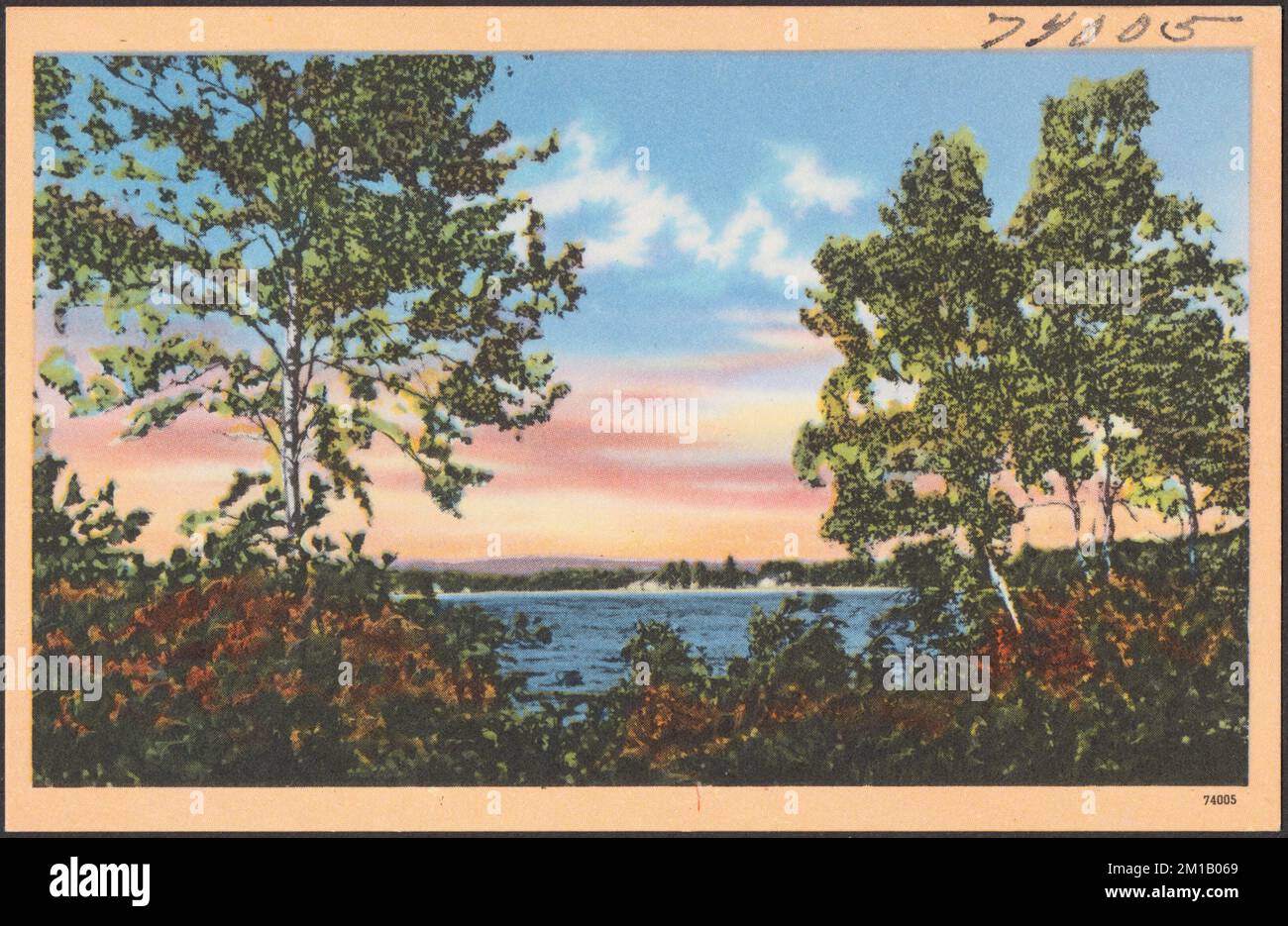 View of lake through trees , Lakes & ponds, Trees, Tichnor Brothers ...