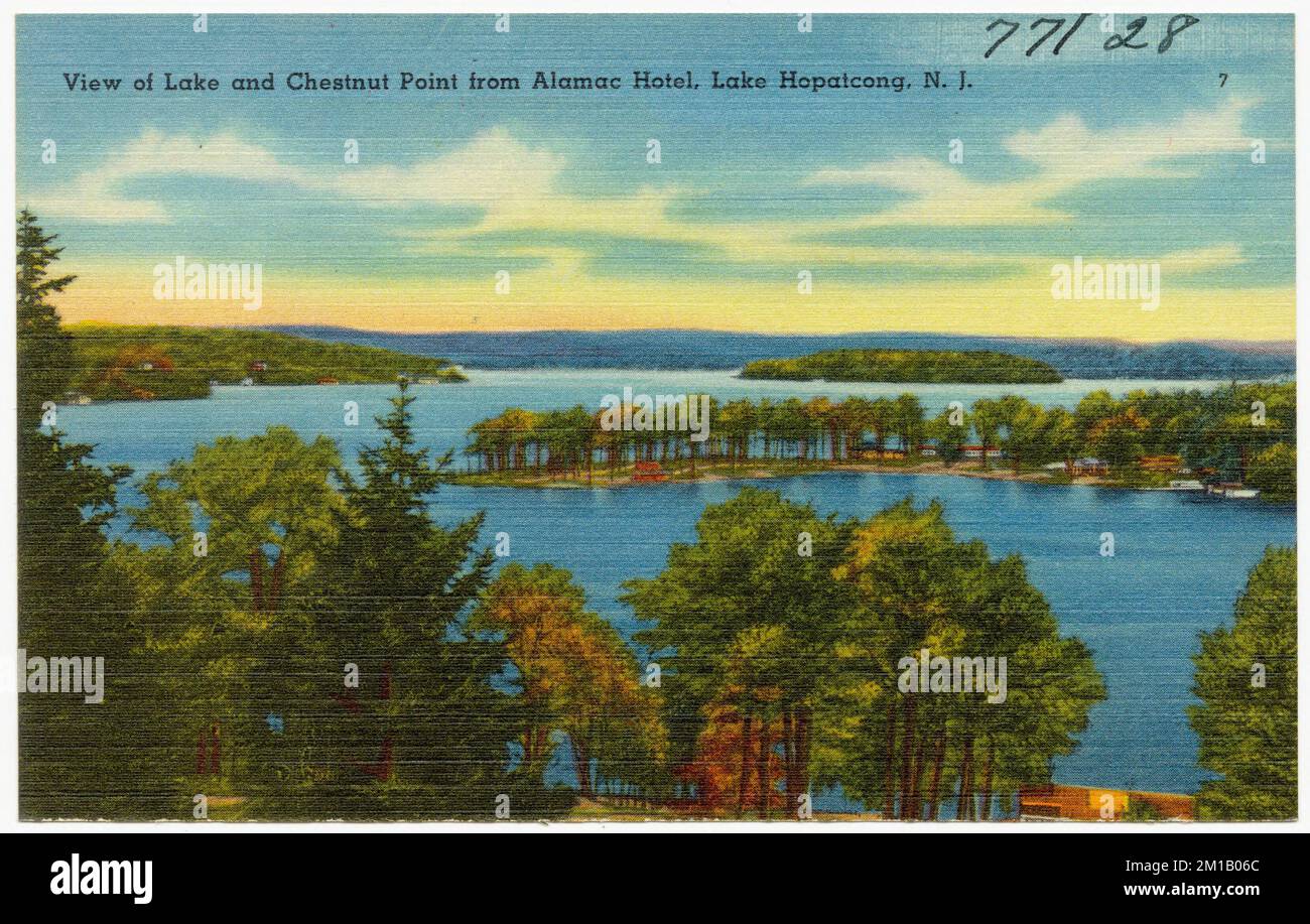 View of Lake and Chestnut Point from Alamac Hotel, Lake Hopatcong, N. J ...